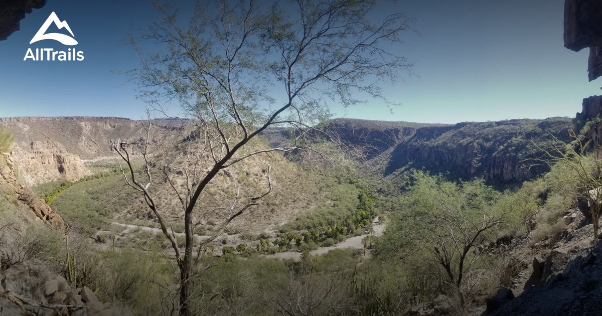 10 Best trails and hikes in Comondú | AllTrails