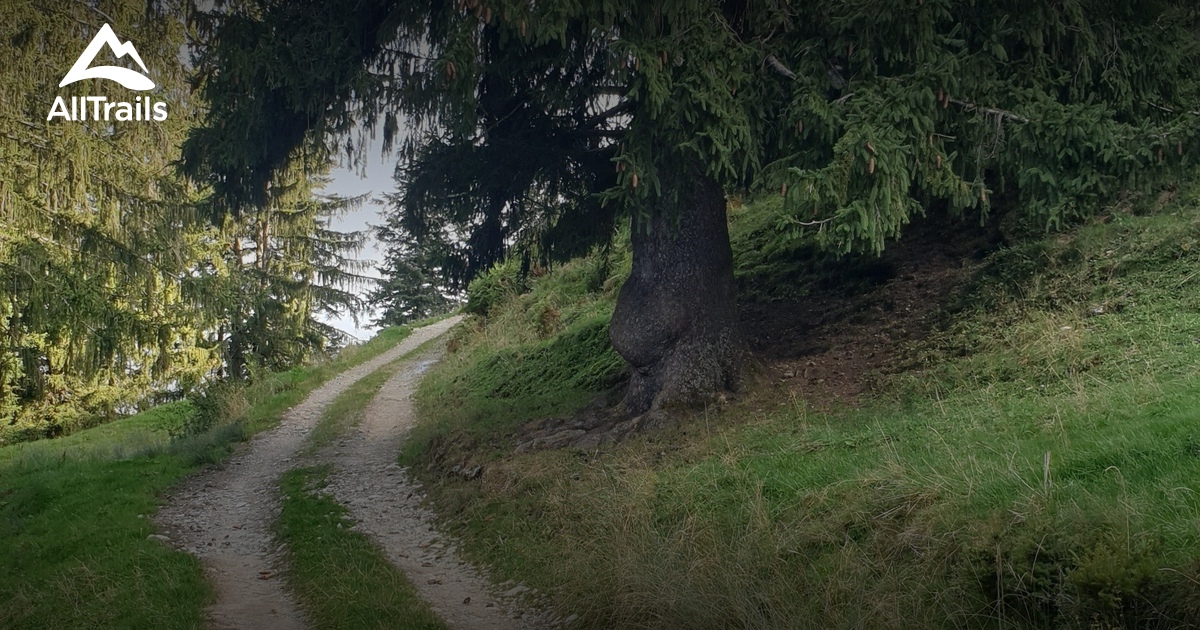 Best hikes and trails in Luthern Bad | AllTrails Best hikes and trails in Luthern Bad | AllTrails