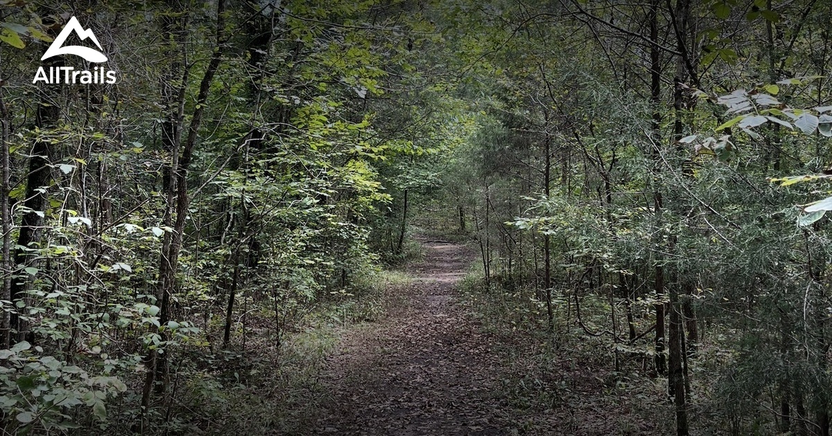 Best kid-friendly trails in Warrior | AllTrails Best kid-friendly trails in Warrior | AllTrails