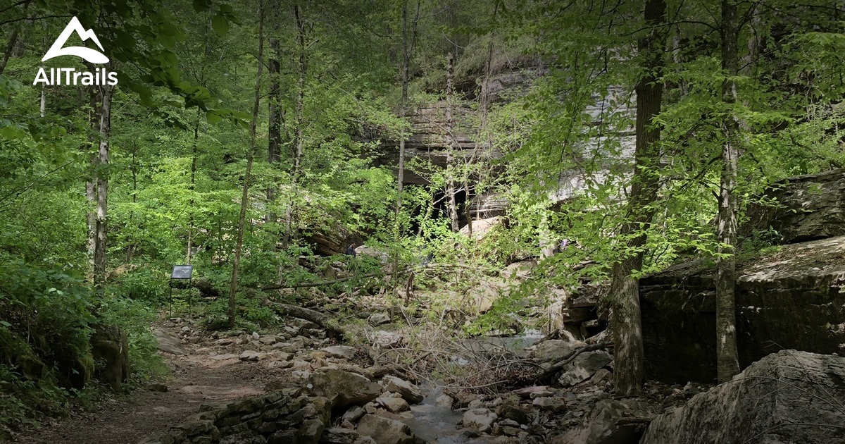 Best Trails near Ponca, Arkansas | AllTrails