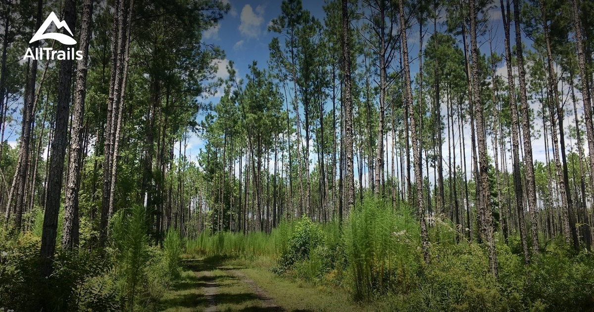 Best Trails Near Alachua Florida Alltrails