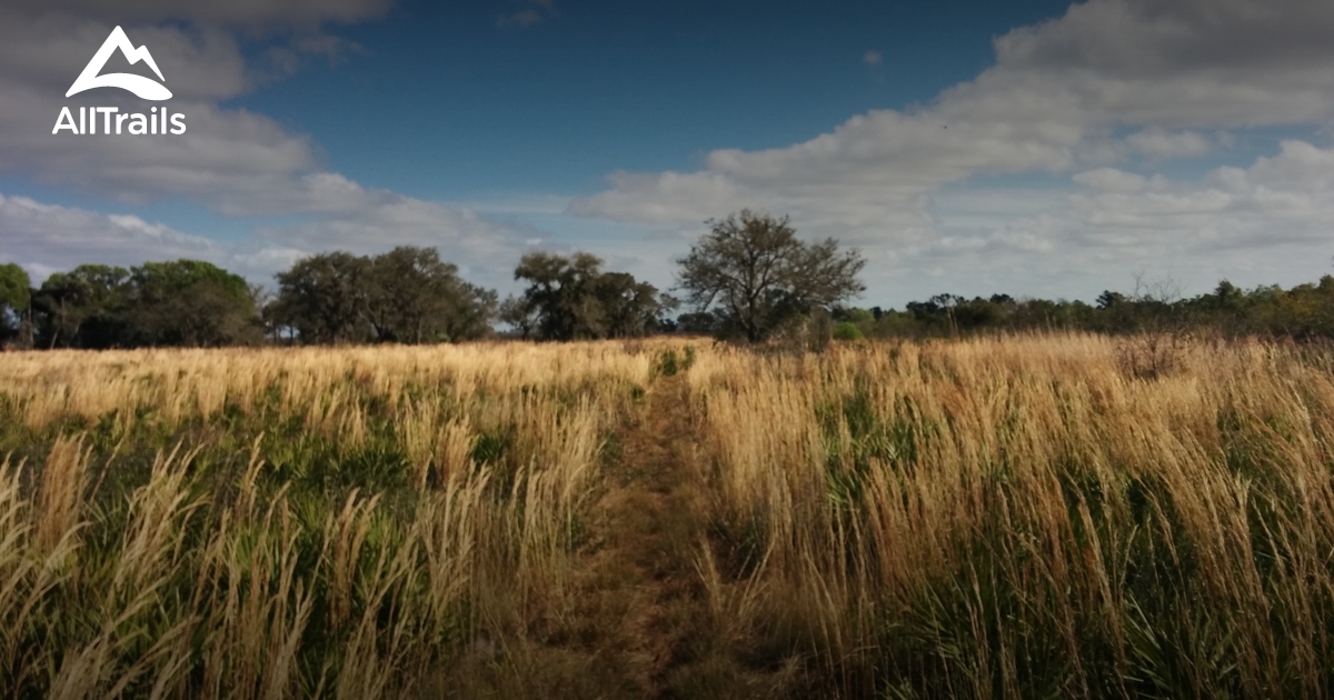 Best walking trails in Sarasota, Florida | AllTrails Best walking trails in Sarasota, Florida | AllTrails