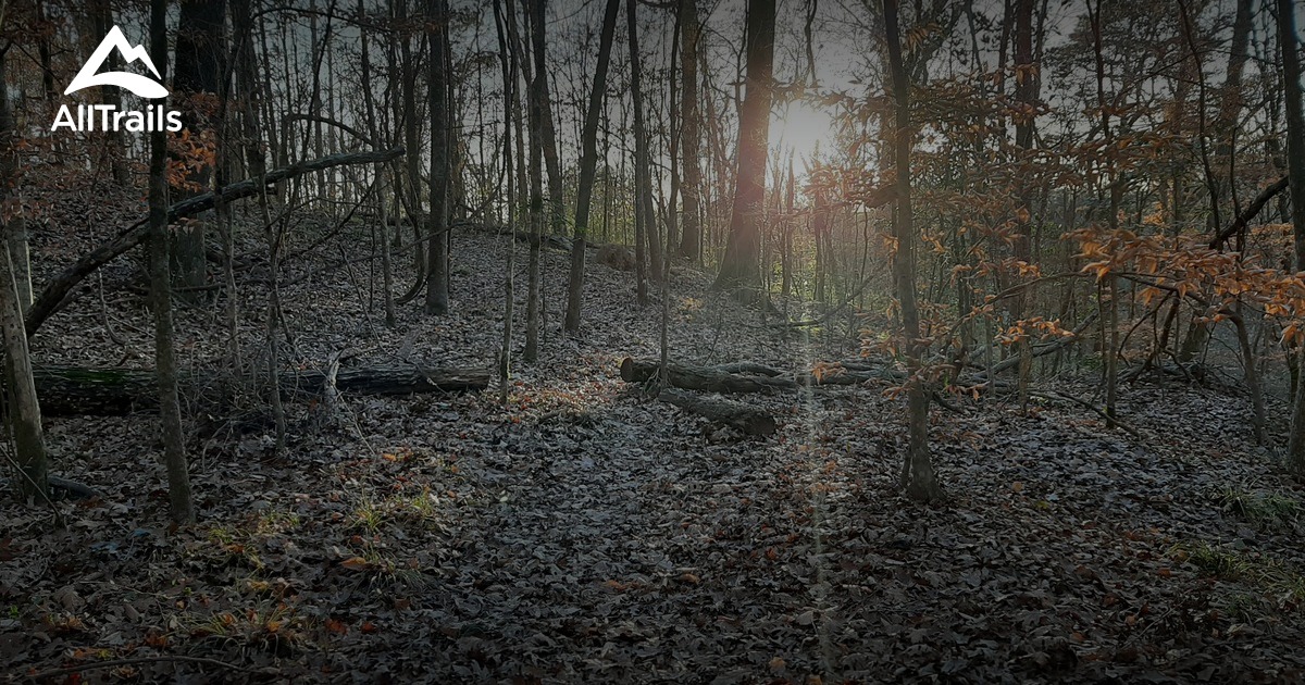 2023 Best Wild Flowers Trails in Montezuma | AllTrails 2023 Best Wild Flowers Trails in Montezuma | AllTrails
