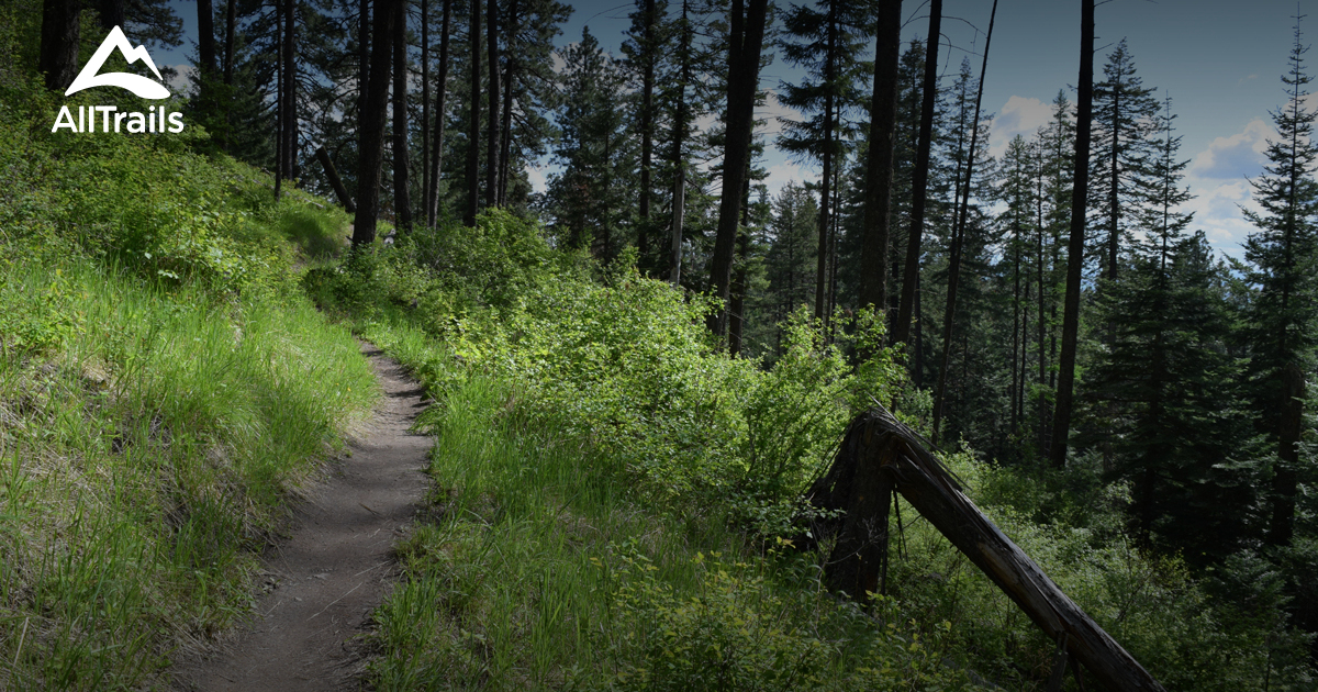 10 Best trails and hikes in Moscow | AllTrails