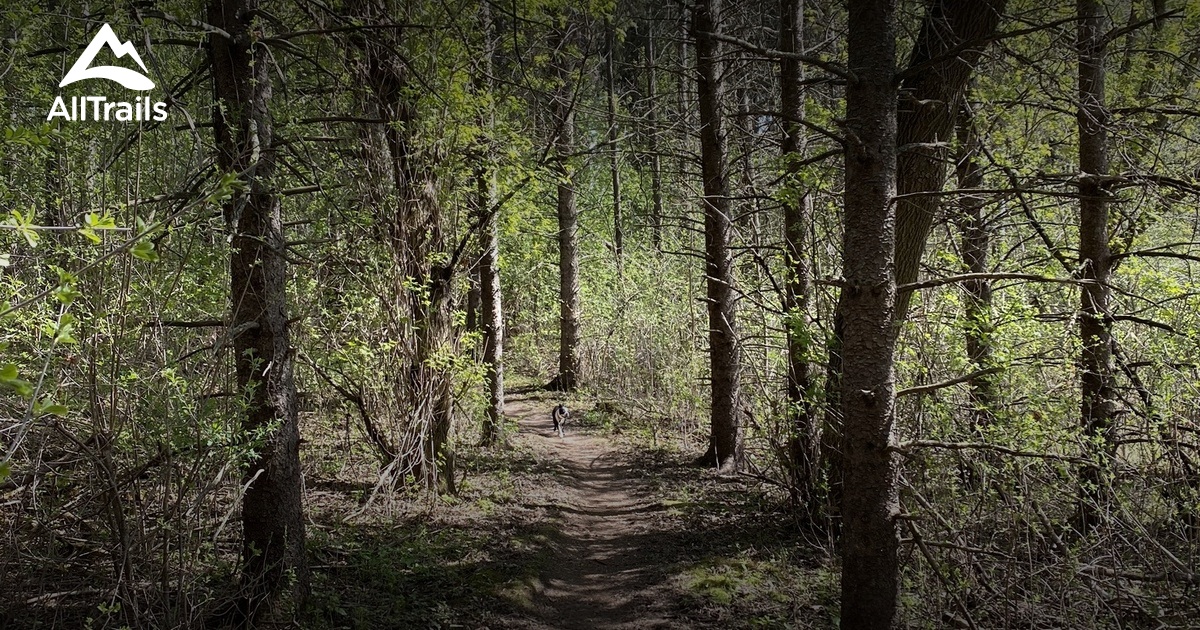 Best hikes and trails in Lino Lakes | AllTrails