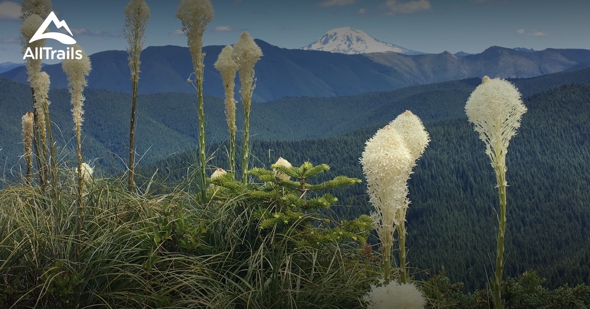Best Hikes And Trails In Mossyrock Alltrails