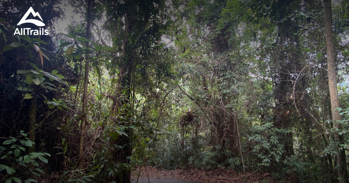 10 Best trails and hikes in Johor | AllTrails