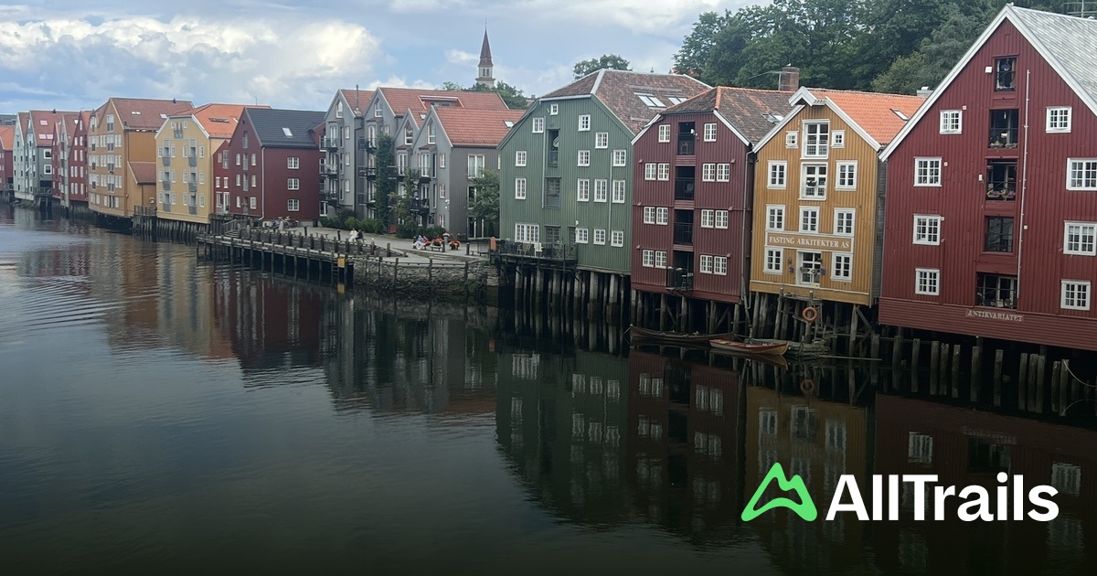 Trampe sykkelheis: Die besten Routen in der Umgebung | AllTrails