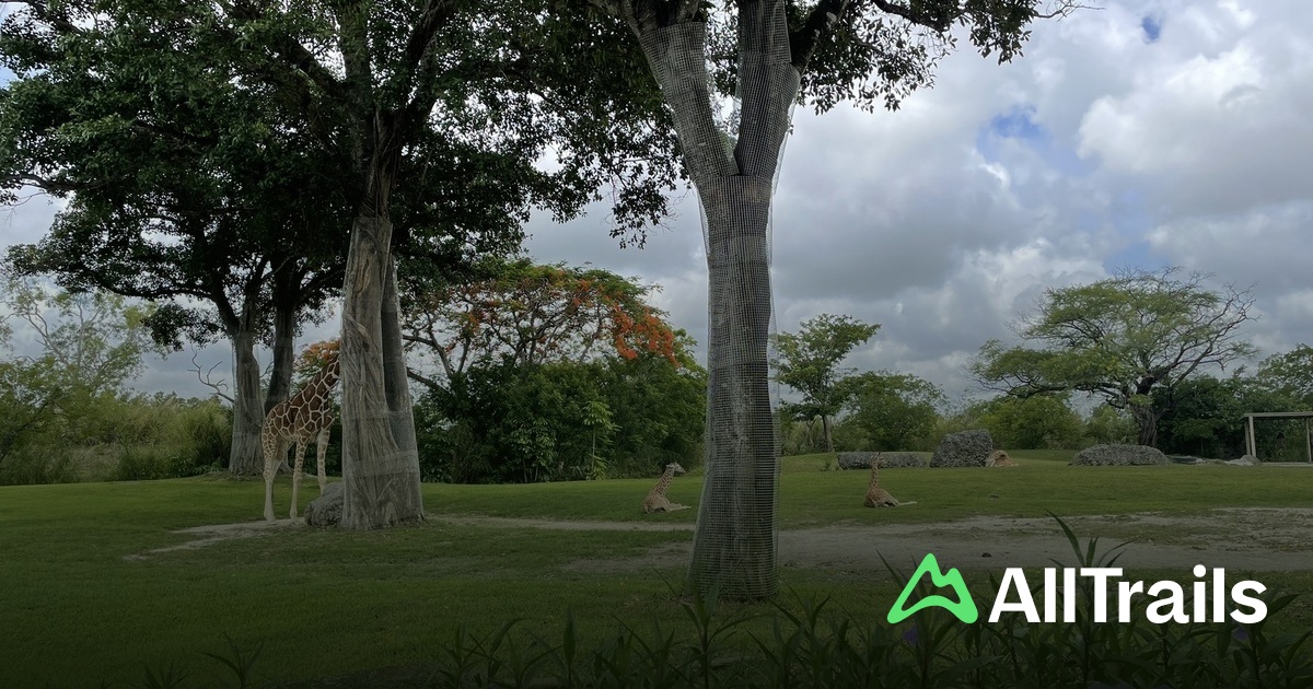 Clouded Leopard - hikes and trails to get you there | AllTrails