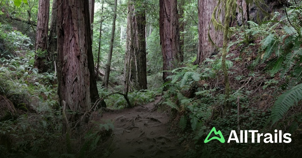 Red Rock Beach Hikes And Trails To Get You There Alltrails