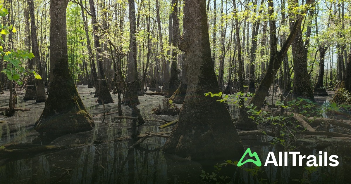 River Park North Campground - hikes and trails to get you there | AllTrails