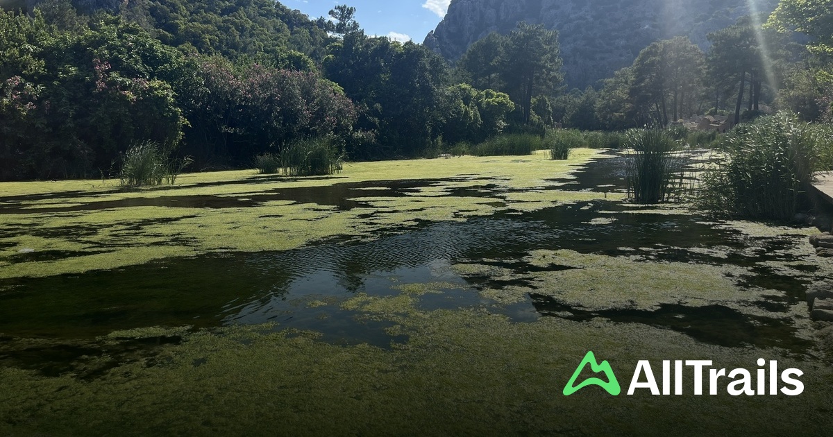 Best trails near Entrance Complex | AllTrails