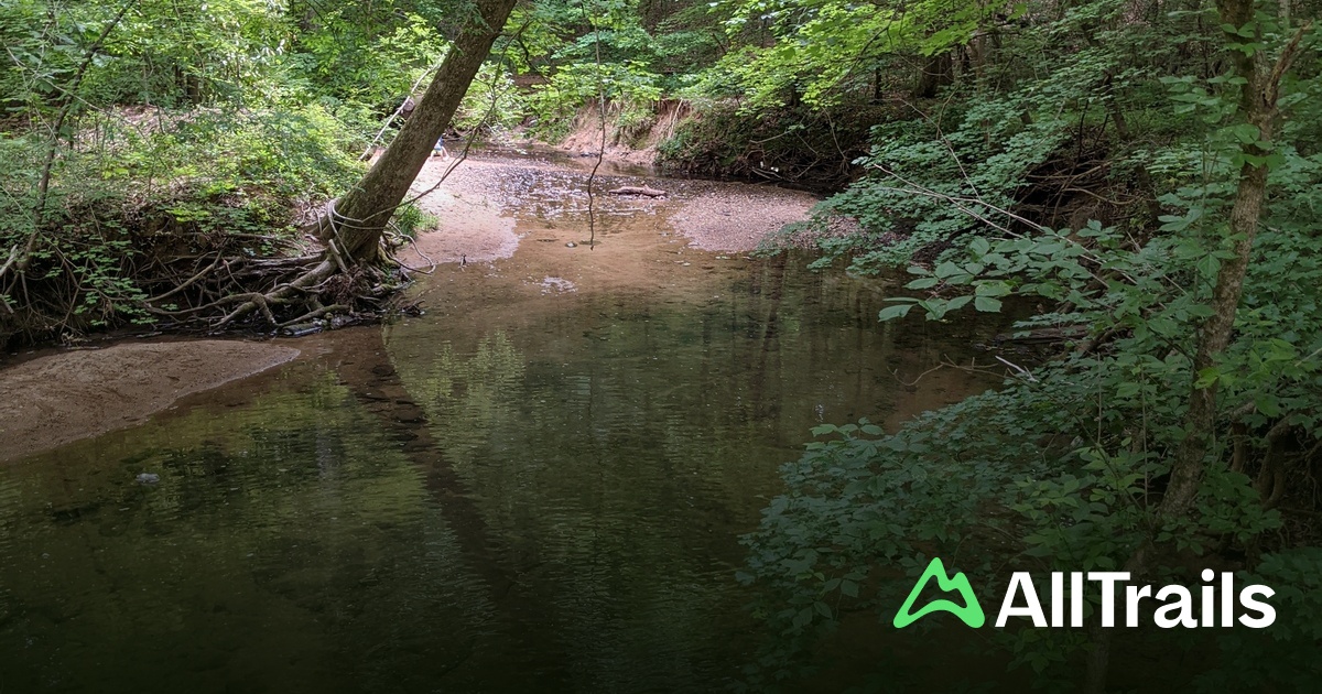 Turtle Pond - hikes and trails to get you there | AllTrails
