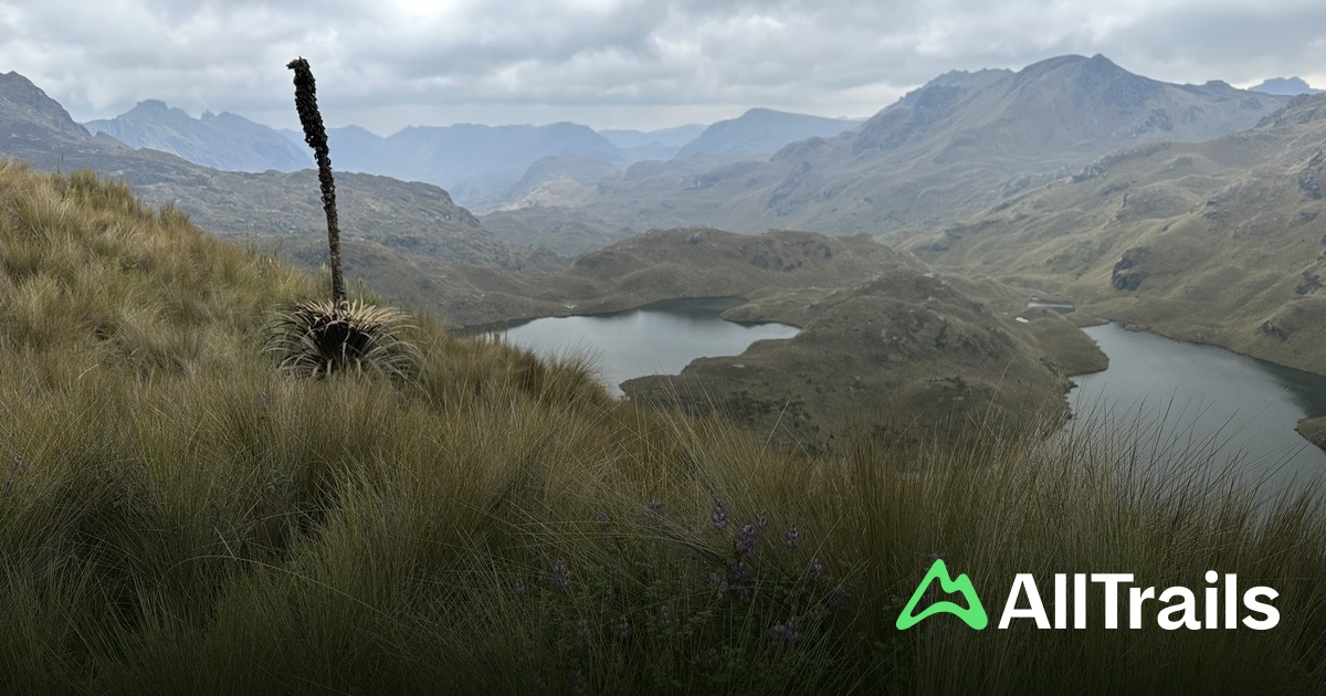 Patos Colorados : les meilleures randonnées | AllTrails