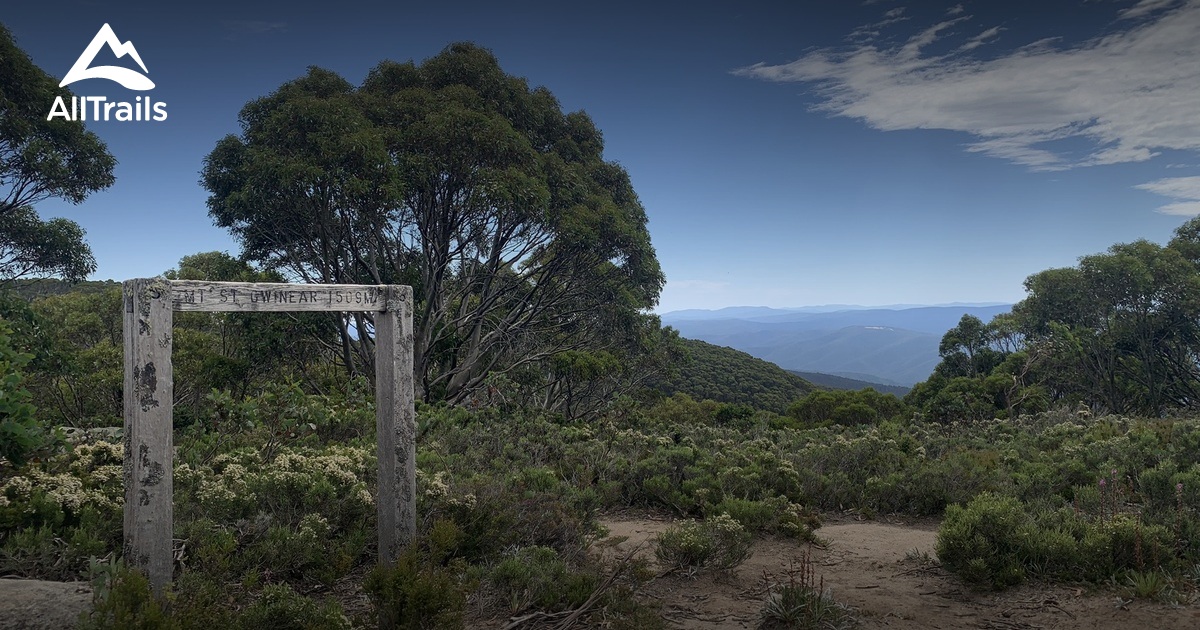Mount Baw Baw - hikes and trails to get you there | AllTrails