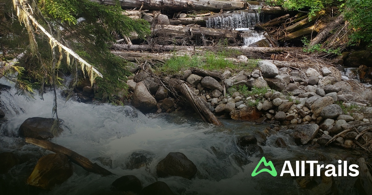 Toby Creek: Die besten Routen in der Umgebung | AllTrails