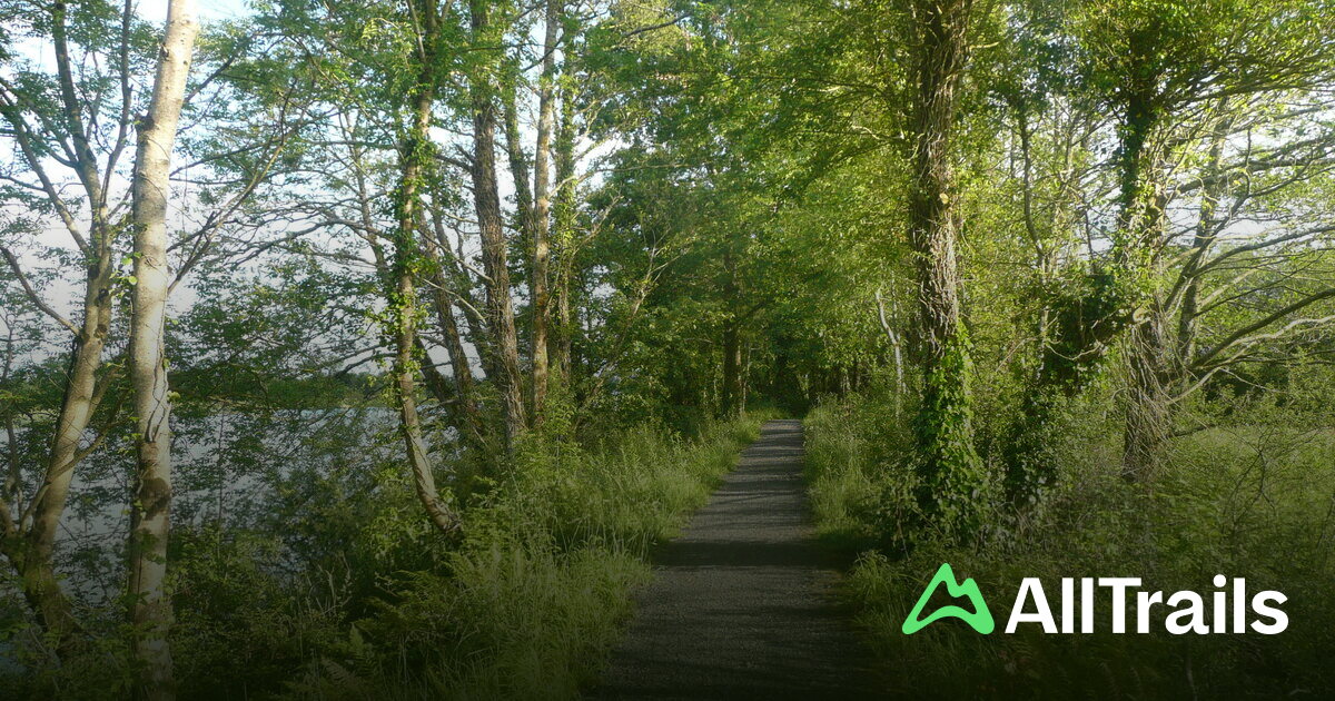 Plassey Water Mill - hikes and trails to get you there | AllTrails