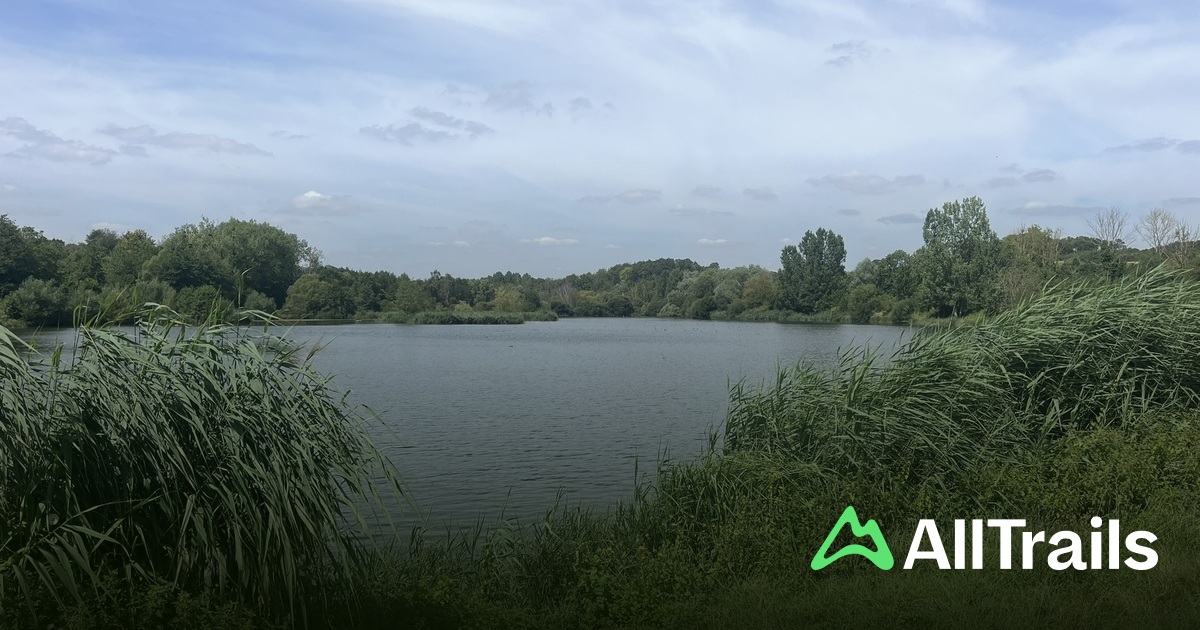 Bras de la Viosne : les meilleures randonnées | AllTrails