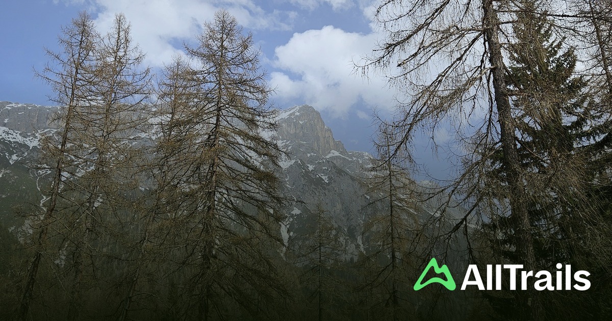 Neue Alplhütte : les meilleures randonnées | AllTrails