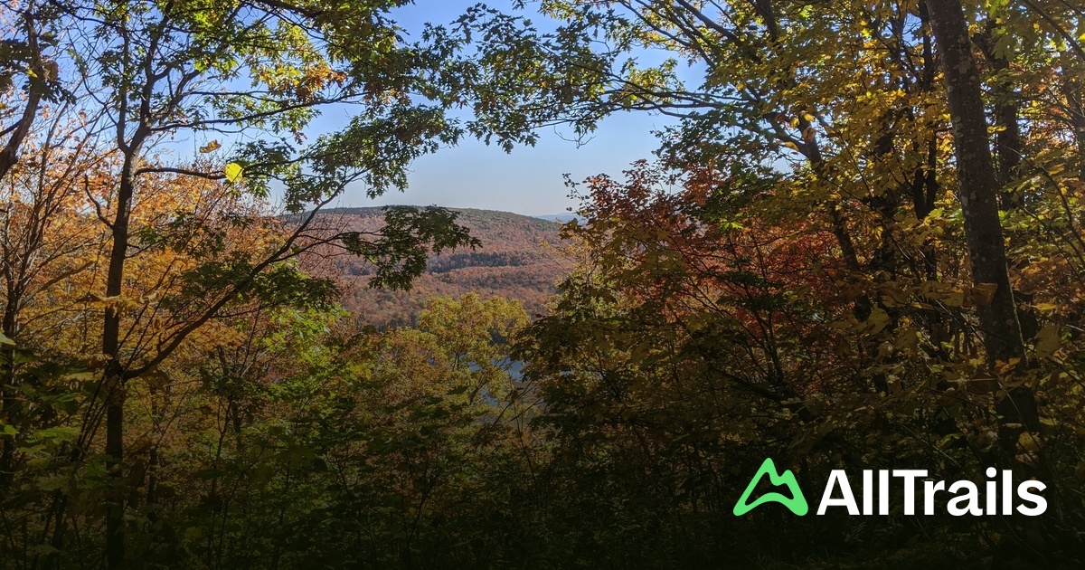 Bryant Mountain : les meilleures randonnées | AllTrails