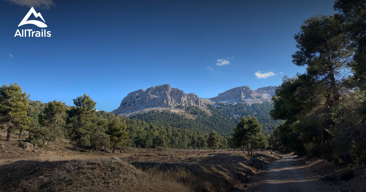 Best Trails near Cerro de las Talas | AllTrails