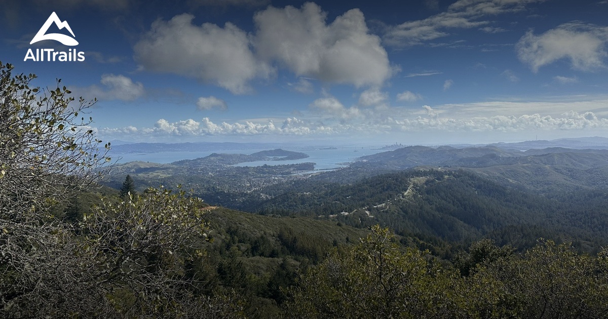 Mount Tamalpais Middle Peak - hikes and trails to get you there | AllTrails