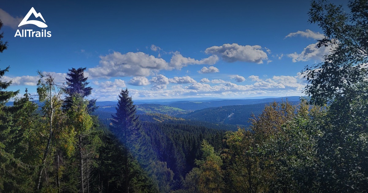 Halde Zentralschacht - hikes and trails to get you there | AllTrails