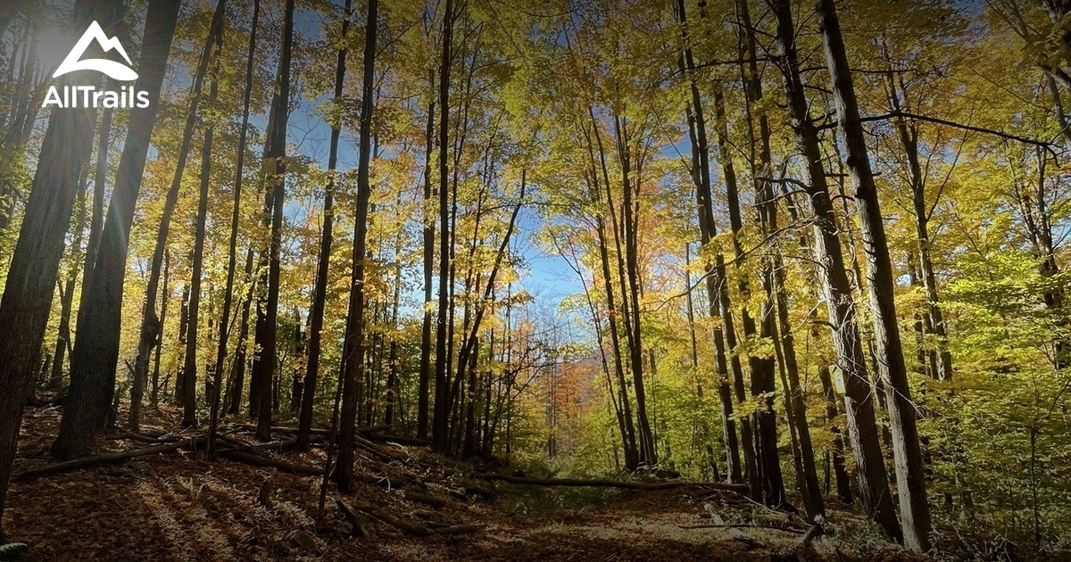 Best trails near Silver Hollow Notch Mountain | AllTrails