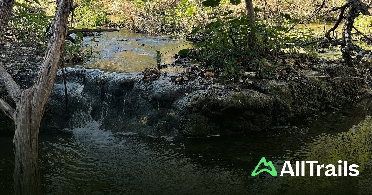 Lake Travis - hikes and trails to get you there | AllTrails