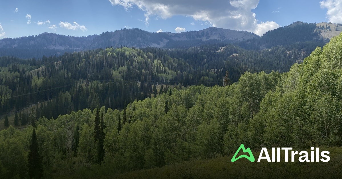 Melhores trilhos perto de Willow Peak | AllTrails