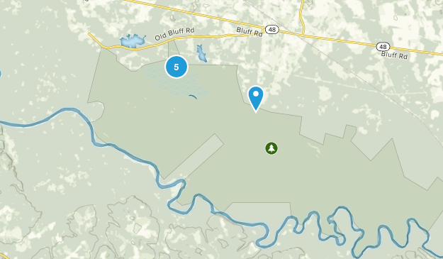 Best Trails in Congaree National Park | AllTrails