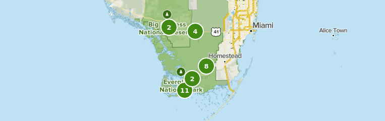 Best Trails in Everglades National Park | AllTrails