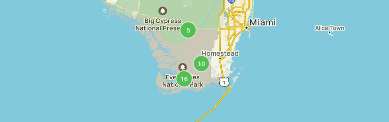 Best 10 Hikes and Trails in Everglades National Park | AllTrails