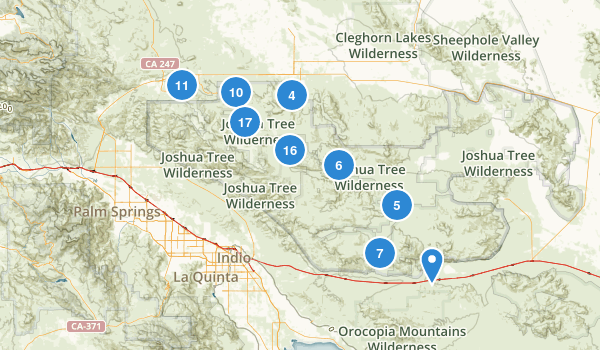 Best Trails in Joshua Tree National Park | AllTrails.com