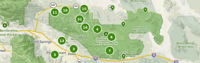 Best Trails in Joshua Tree National Park | AllTrails