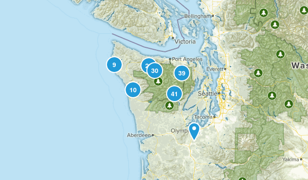 Best Trails in Olympic National Park | AllTrails