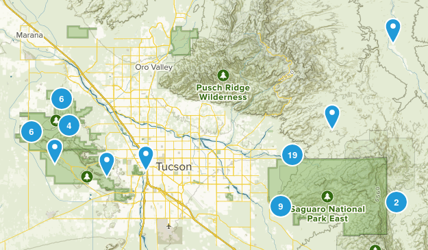 Best Trails in Saguaro National Park | AllTrails