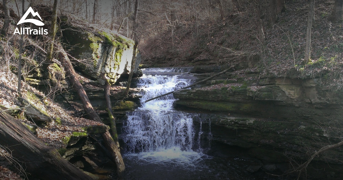 Best hikes and trails in Buck's Pocket State Park | AllTrails
