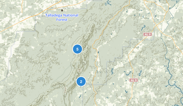 Best Trails in Cheaha State Park | AllTrails.com