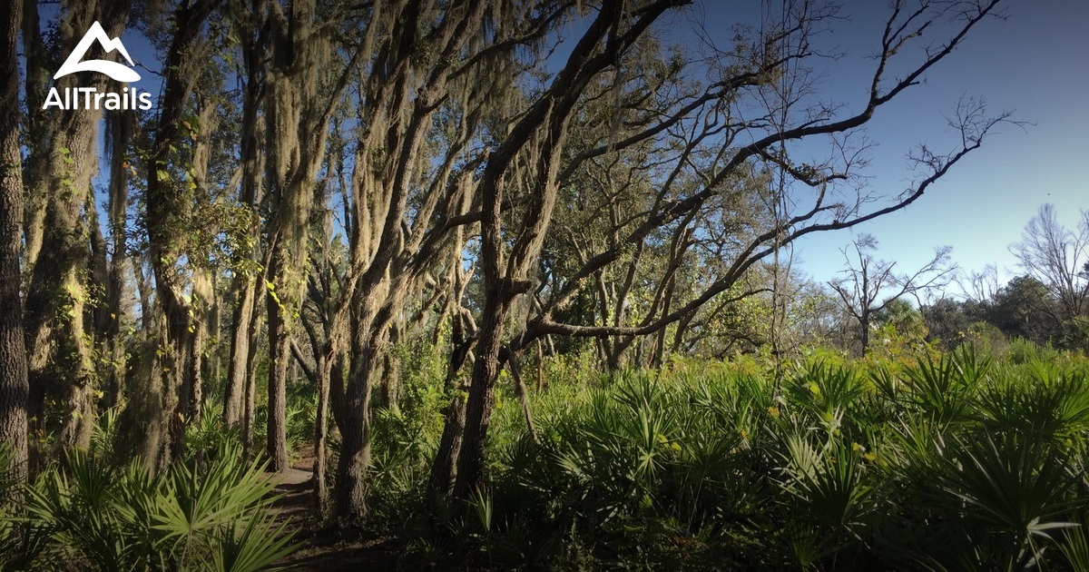 10 Best hikes and trails in Alafia River State Park | AllTrails