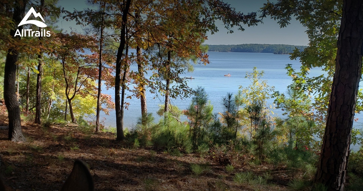 Best hikes and trails in Wind Creek State Park | AllTrails