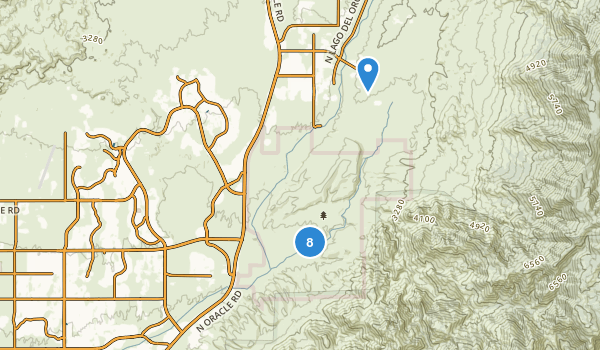 Best Trails in Catalina State Park | AllTrails.com