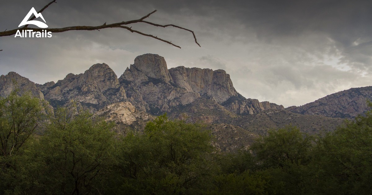 Best Trails in Catalina State Park - Arizona | 587 Photos & 411 Reviews ...