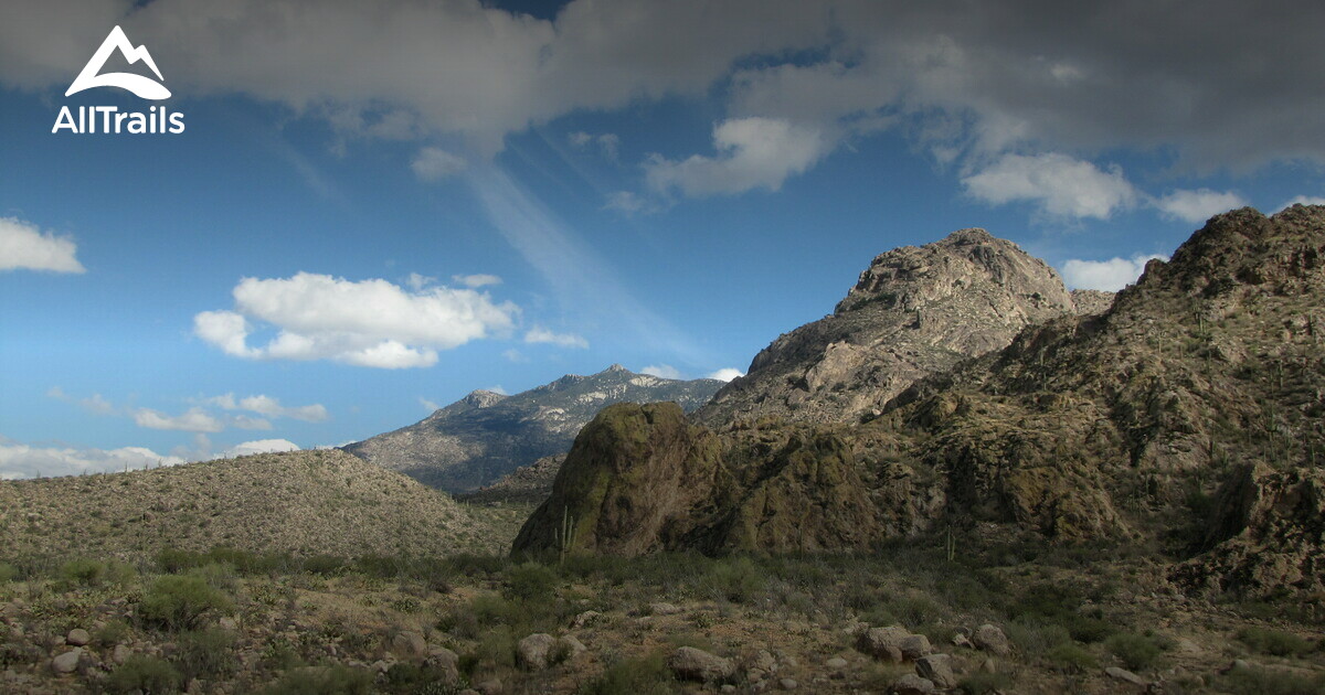 10 Best hikes and trails in Catalina State Park | AllTrails