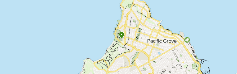 Best Trails in Asilomar State Beach - California | AllTrails