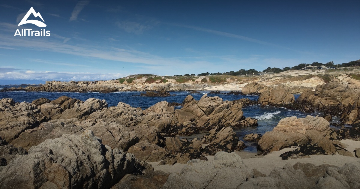 Asilomar State Beach: de beste routes om te wandelen | AllTrails