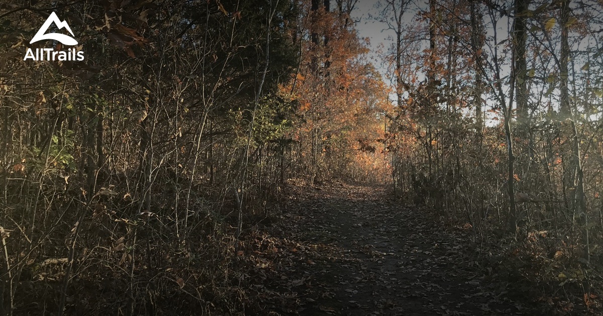 Best short trails in Lake Frierson State Park | AllTrails