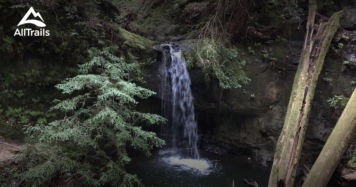 Best Trails in Big Basin Redwoods State Park - California | AllTrails