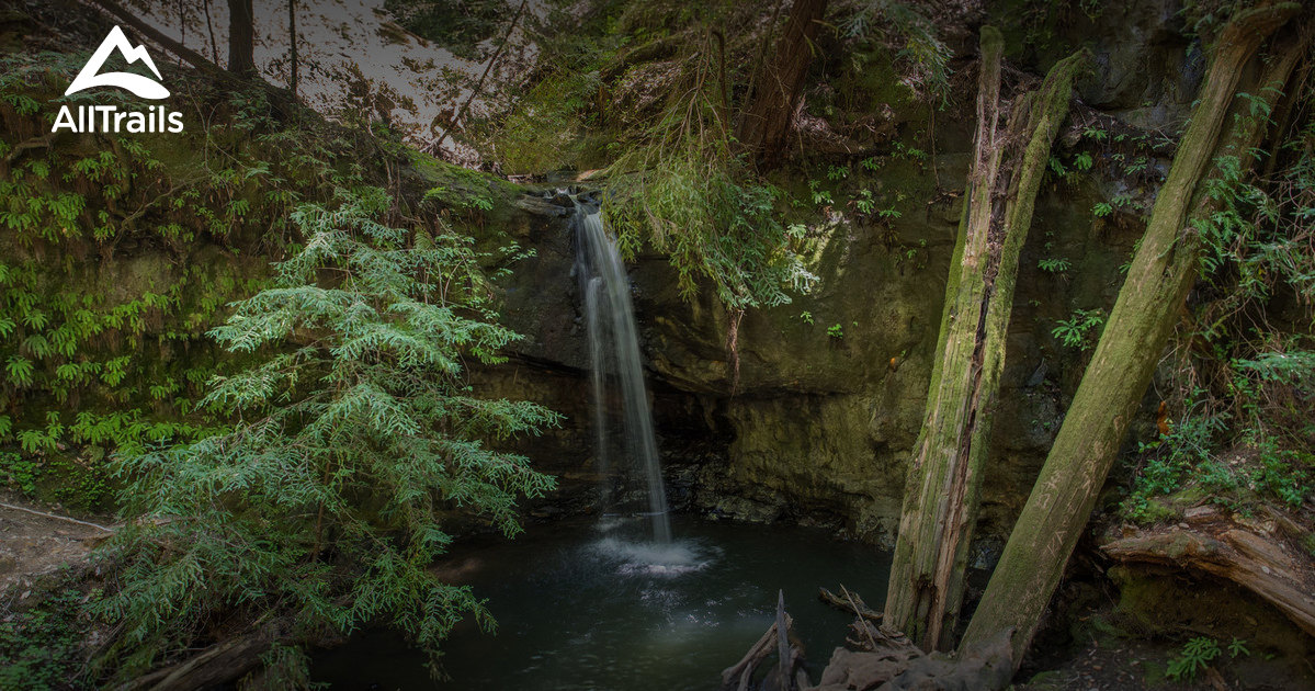 Best Trails in Big Basin Redwoods State Park - California | AllTrails