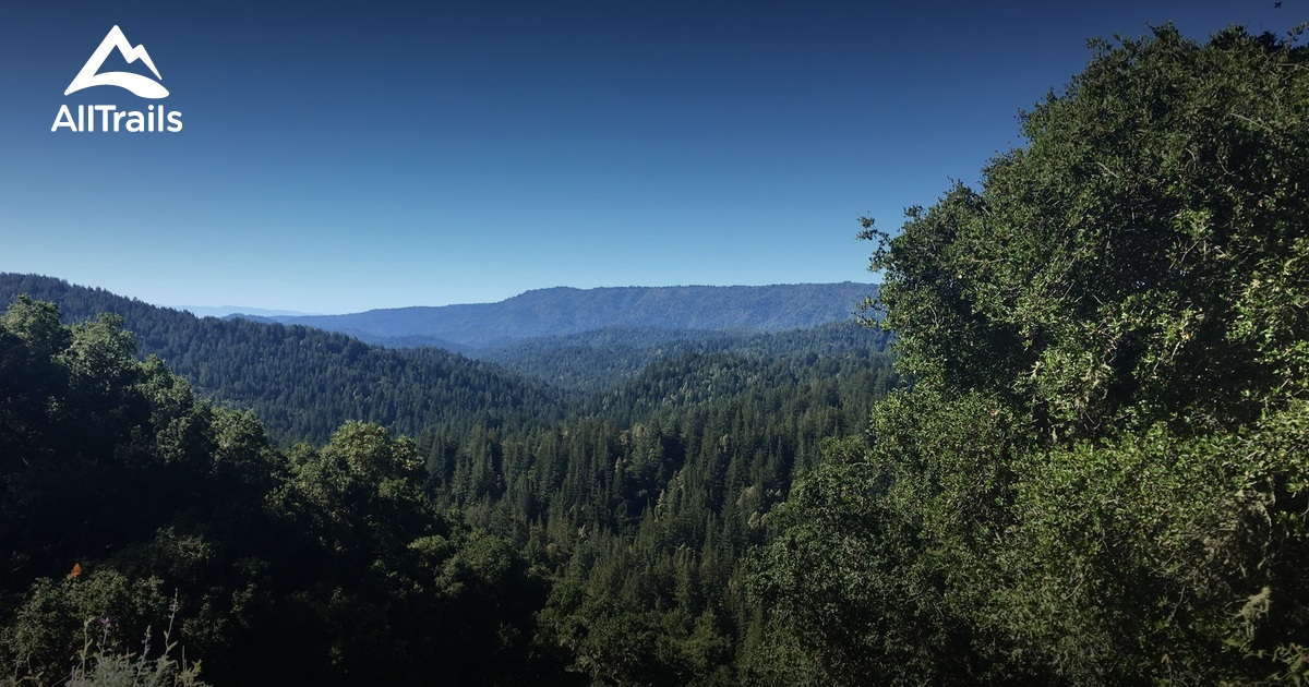 Best Trails in Big Basin Redwoods State Park - California | AllTrails